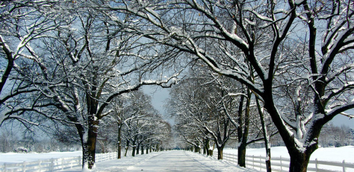 10 tips for surviving Alabama's impending Snowmageddon - Yellowhammer News