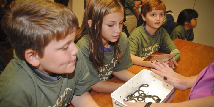 Alabama Wildlife’s new NaturePlex is all about hands-on learning ...