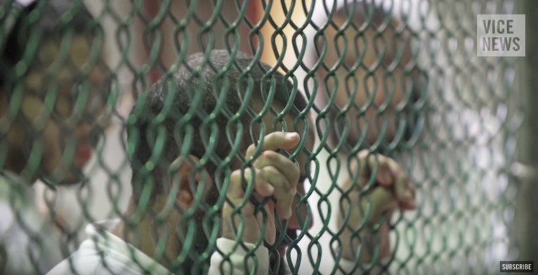 Alabamian goes inside Guantanamo Bay prison to monitor terrorist ...