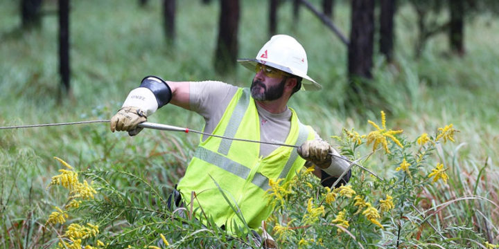 Alabama Power Made Swift Work of Storm Damage From Hurricane Nate ...