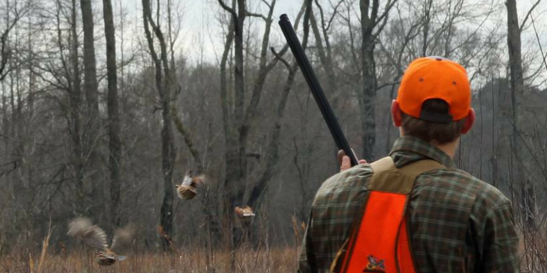 Bobwhite quail enthusiasts tour Alabama black belt - Yellowhammer News