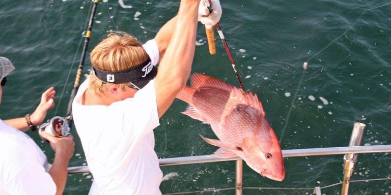 Everything you need to know about Alabama's 2020 red snapper season ...