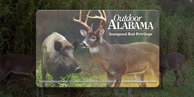 Bait privilege license opens opportunities for deer hunters ...