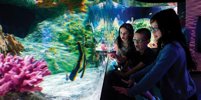 Alabama’s Cook Museum of Natural Science educates and entertains all ...