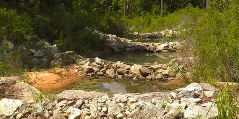 Mobile Bay conservation group develops smart growth plan for ...