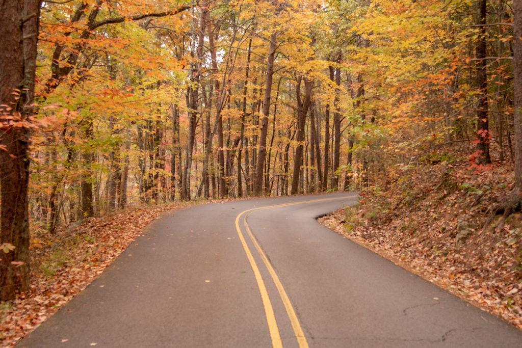 The best places to see fall foliage in Alabama - Yellowhammer News