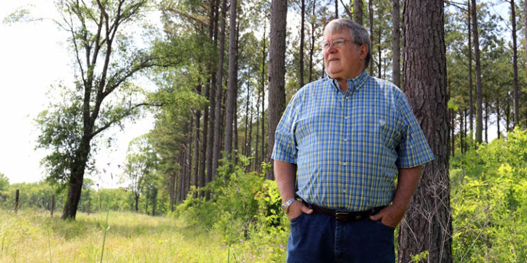 Timber values stagnant as lumber prices soar - Yellowhammer News