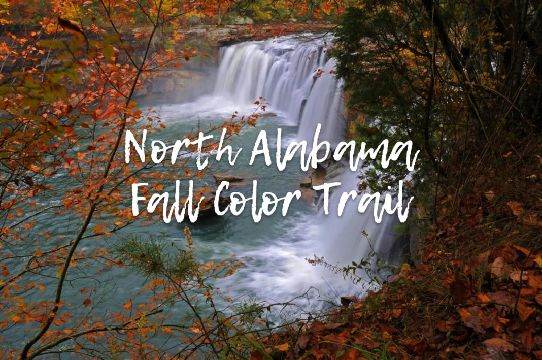 Best spots to view fall foliage in North Alabama - Yellowhammer News