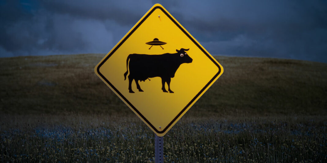 'Unexplained': Yellowhammer News talks cattle mutilations with Mobile ...