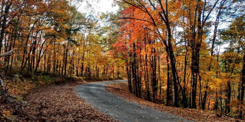 The 5 best scenic fall drives to take in Alabama - Yellowhammer News