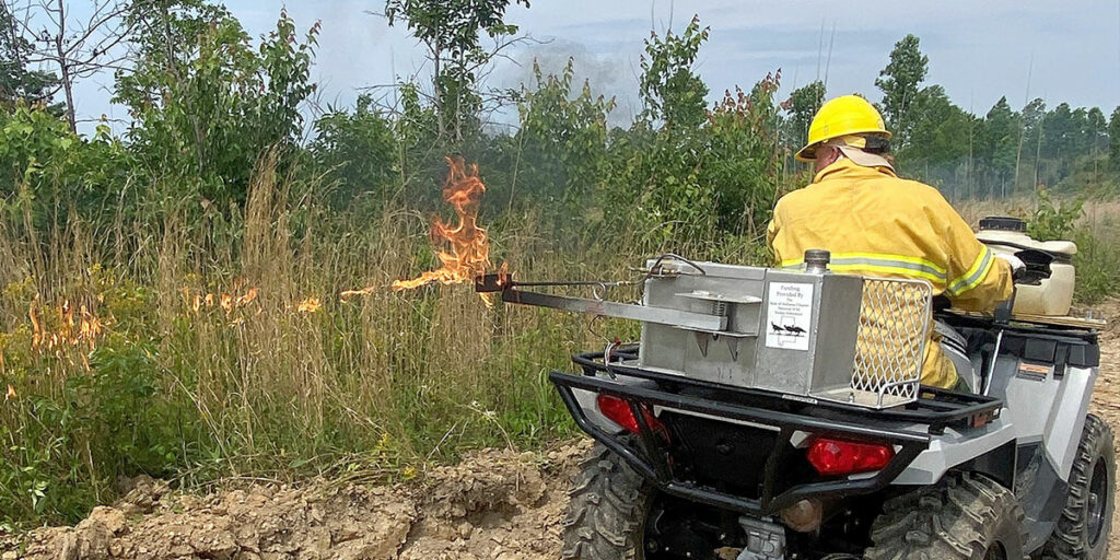 David Rainer: NWTF honors Alabama chapter - Yellowhammer News