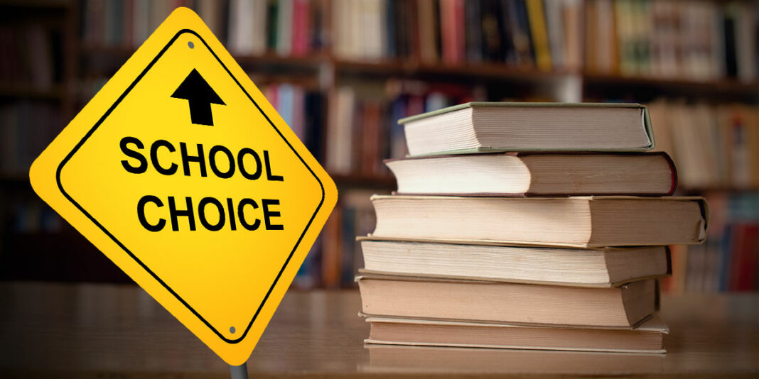 State Sen. Chris Elliott: CHOOSE Act is 'working exactly as it should ...