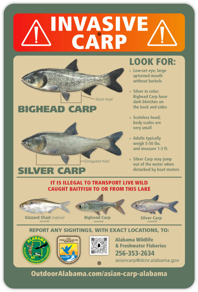 Invasive carp signs installed at Tennessee River public boat ramps ...