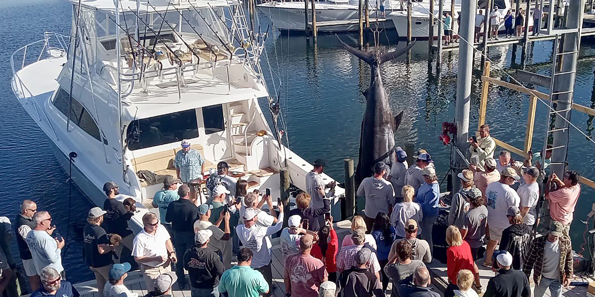 David Rainer: Alabama saltwater records continue to fall - Yellowhammer ...