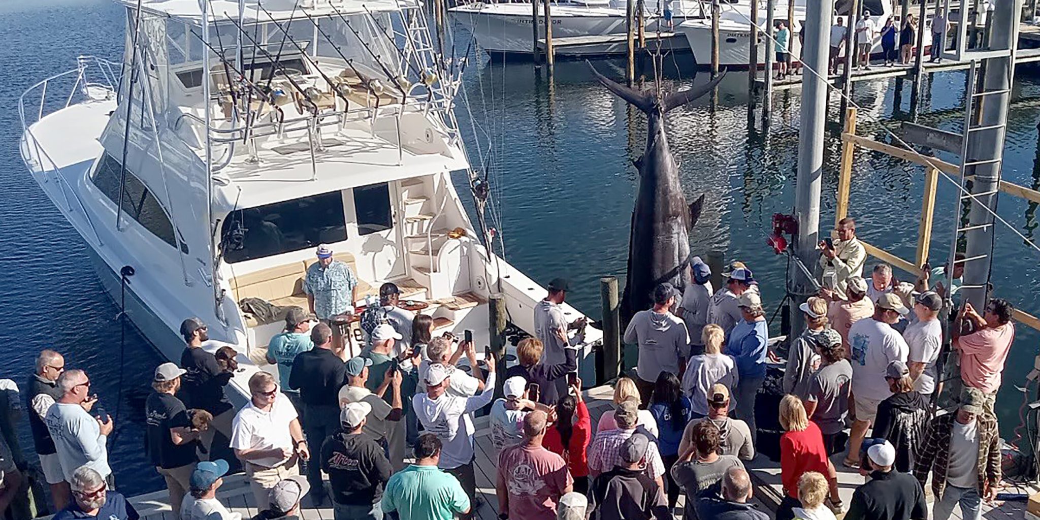 David Rainer: Alabama saltwater records continue to fall - Yellowhammer ...