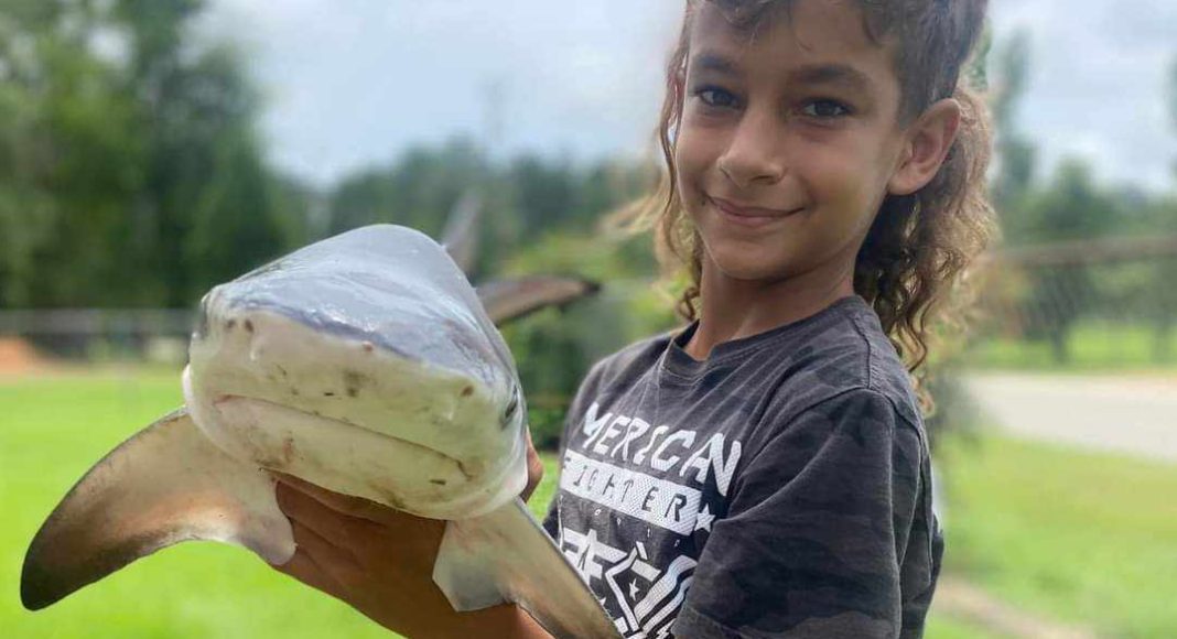 Bull shark caught in Alabama Tombigbee River by 11-year-old fisher ...