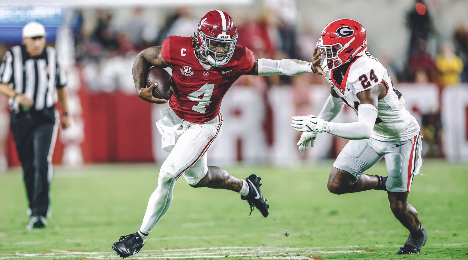 Tide Kennels Bulldogs - Yellowhammer News