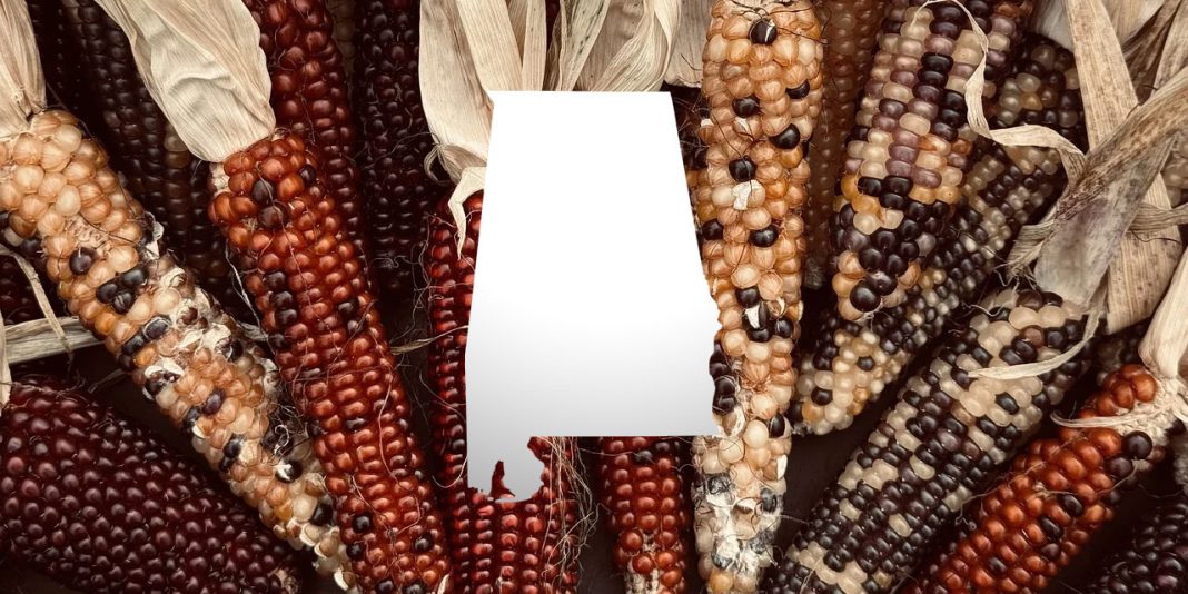 Origins of Thanksgiving in the Heart of Dixie and state's complicated ...