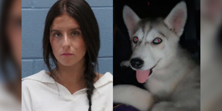 Auburn Police arrest woman who left her puppy to starve, die over ...