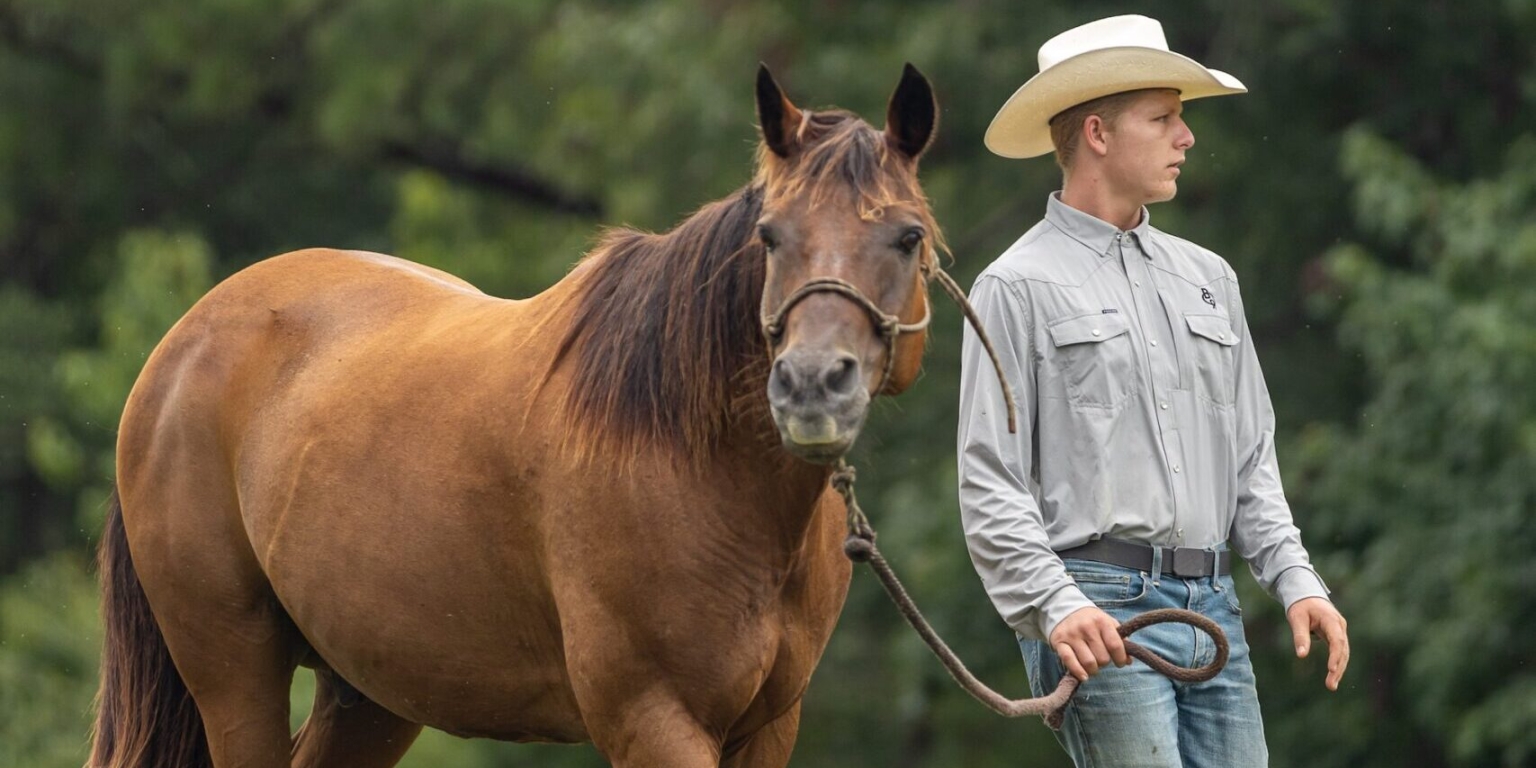 Big Oak Ranch: How an Alabama ranch has saved the lives of thousands ...