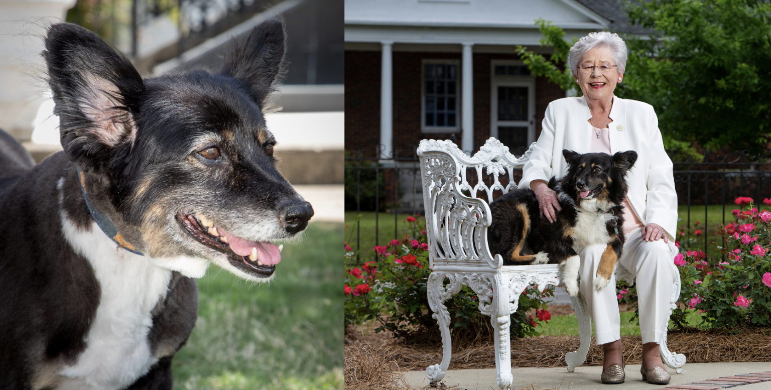 'Nothing quite like the love from pets': Governor Ivey mourns passing ...