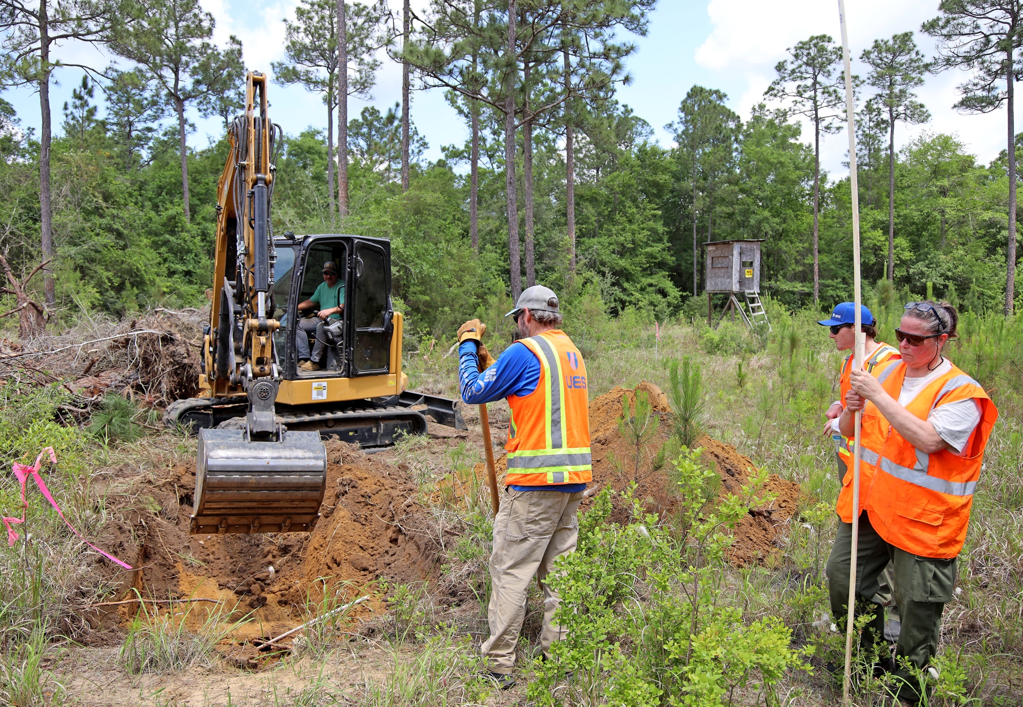 David Rainer: WFF, 68 Ventures team up to relocate gopher tortoises ...