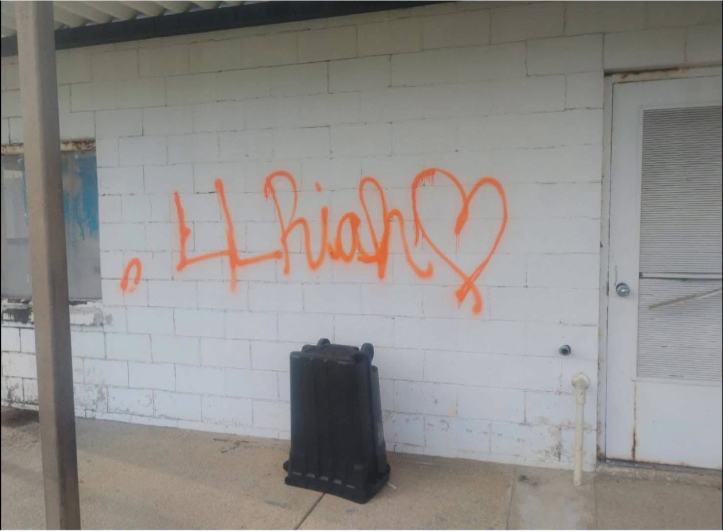 'Repulsive, shocking': $5,000 reward offered after vandalism at ...